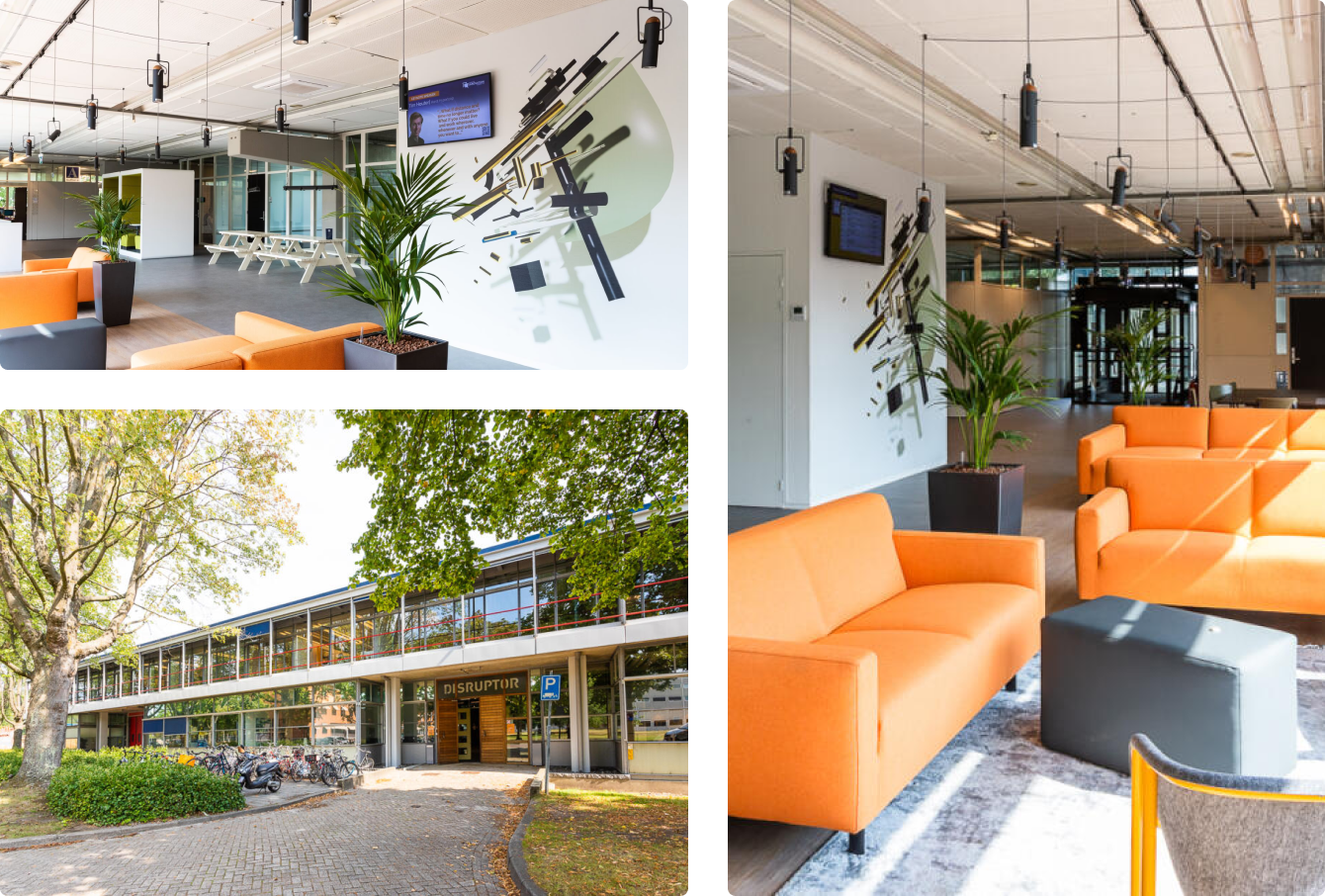 Tulip Tech | About Us – Drone & Aviation Battery Innovators